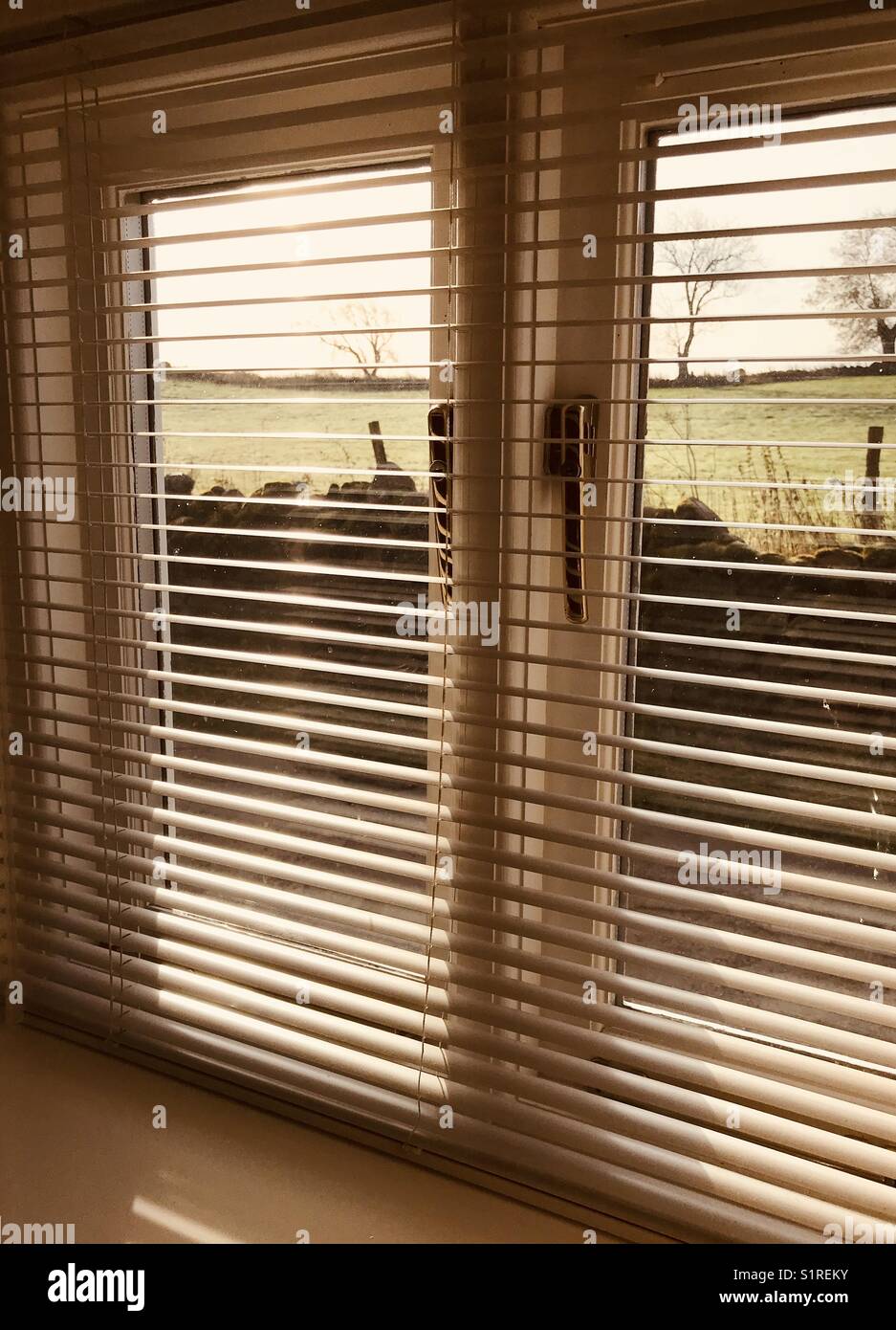 Venetian blind light hi-res stock photography and images - Alamy