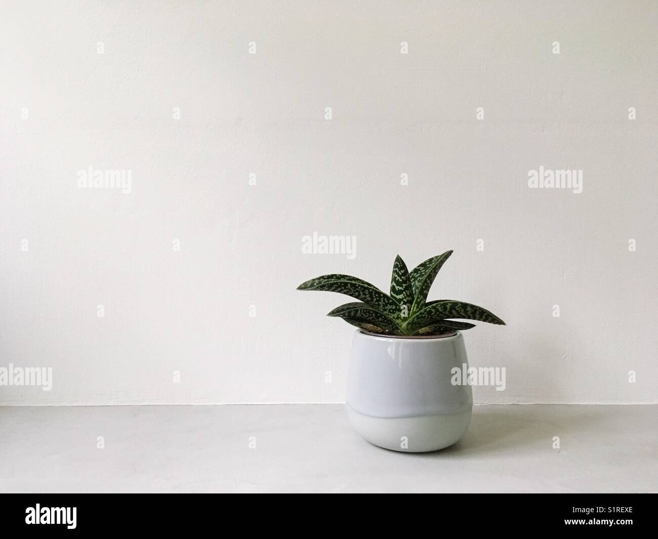 Simple background hi-res stock photography and images - Alamy