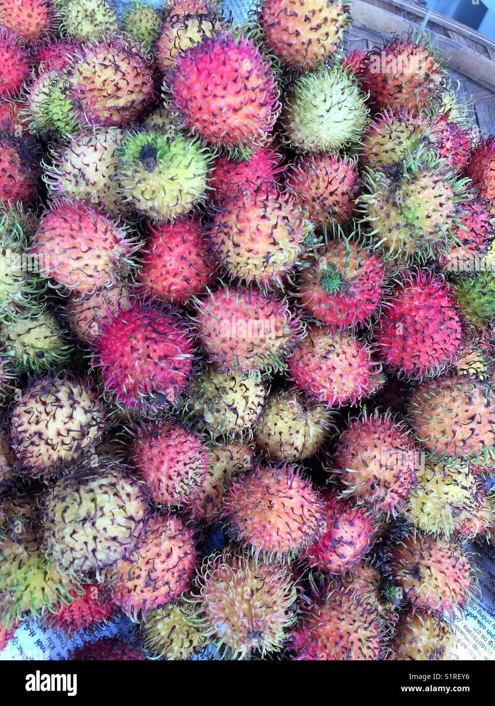 Pluck fruits hi-res stock photography and images - Alamy