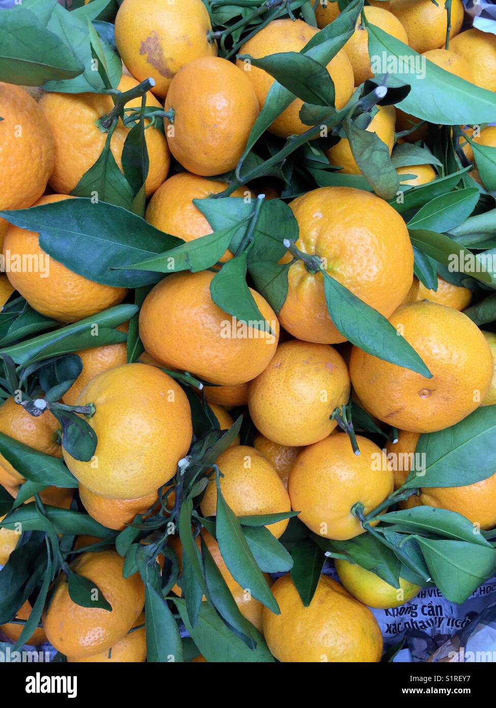 Pick fragrance hi-res stock photography and images - Alamy