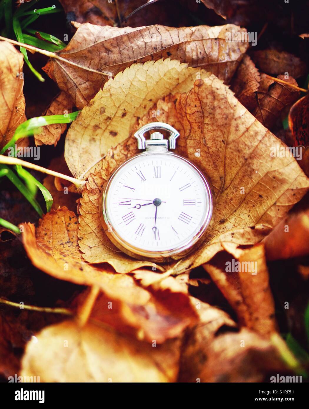 Bst hi-res stock photography and images - Alamy