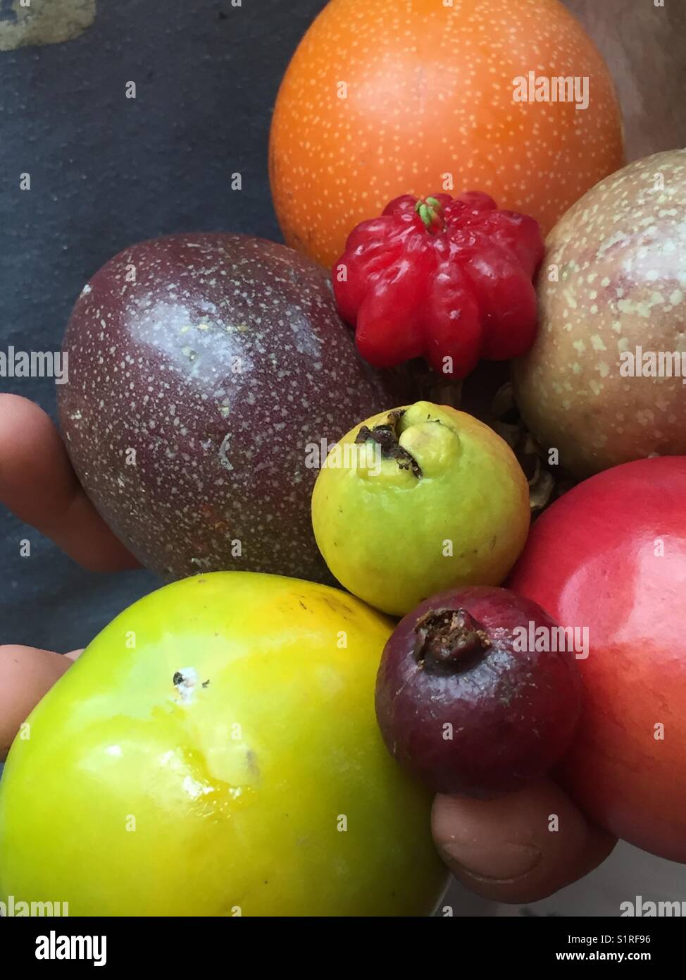 Fruits colors hi-res stock photography and images - Alamy