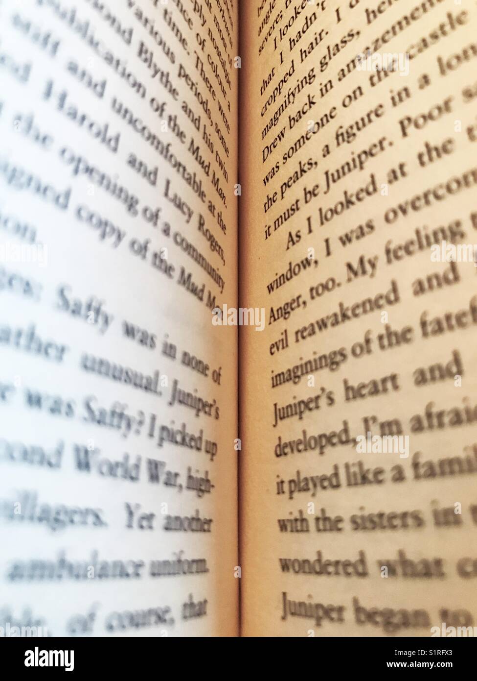 Open book book hi-res stock photography and images - Alamy