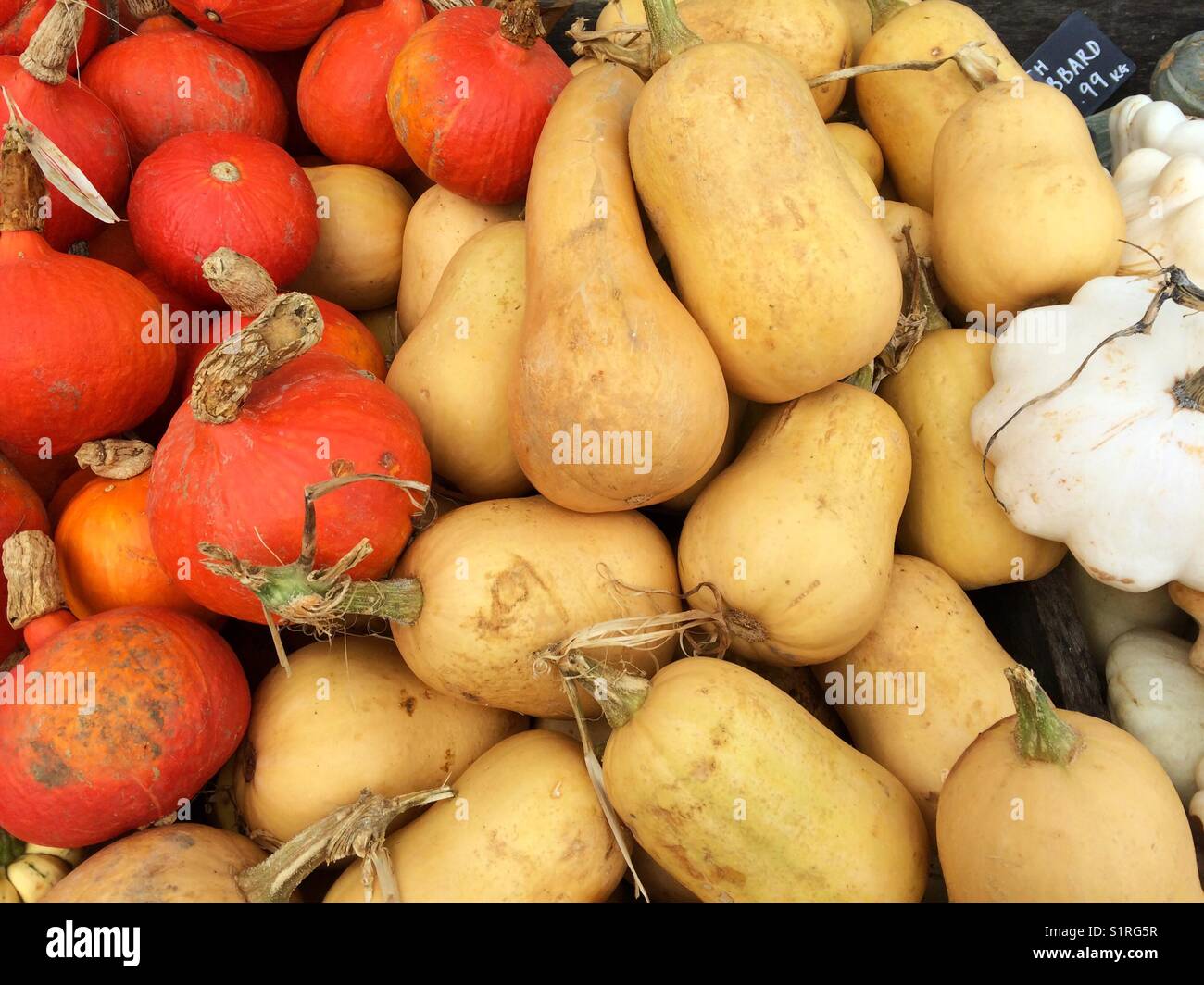 Pumpkins & butternut squash Stock Photo - Alamy