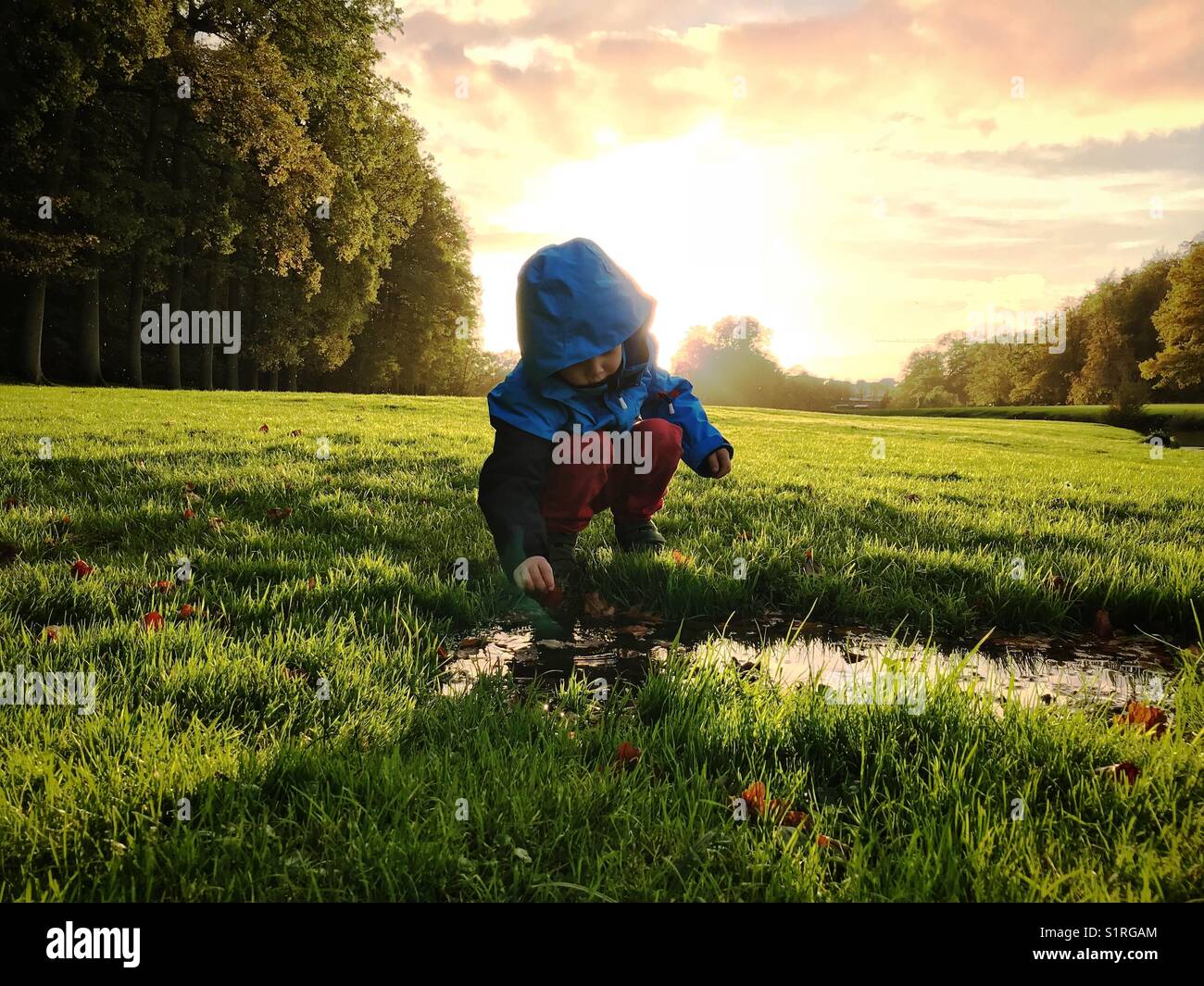 Coat puddle hi-res stock photography and images - Alamy