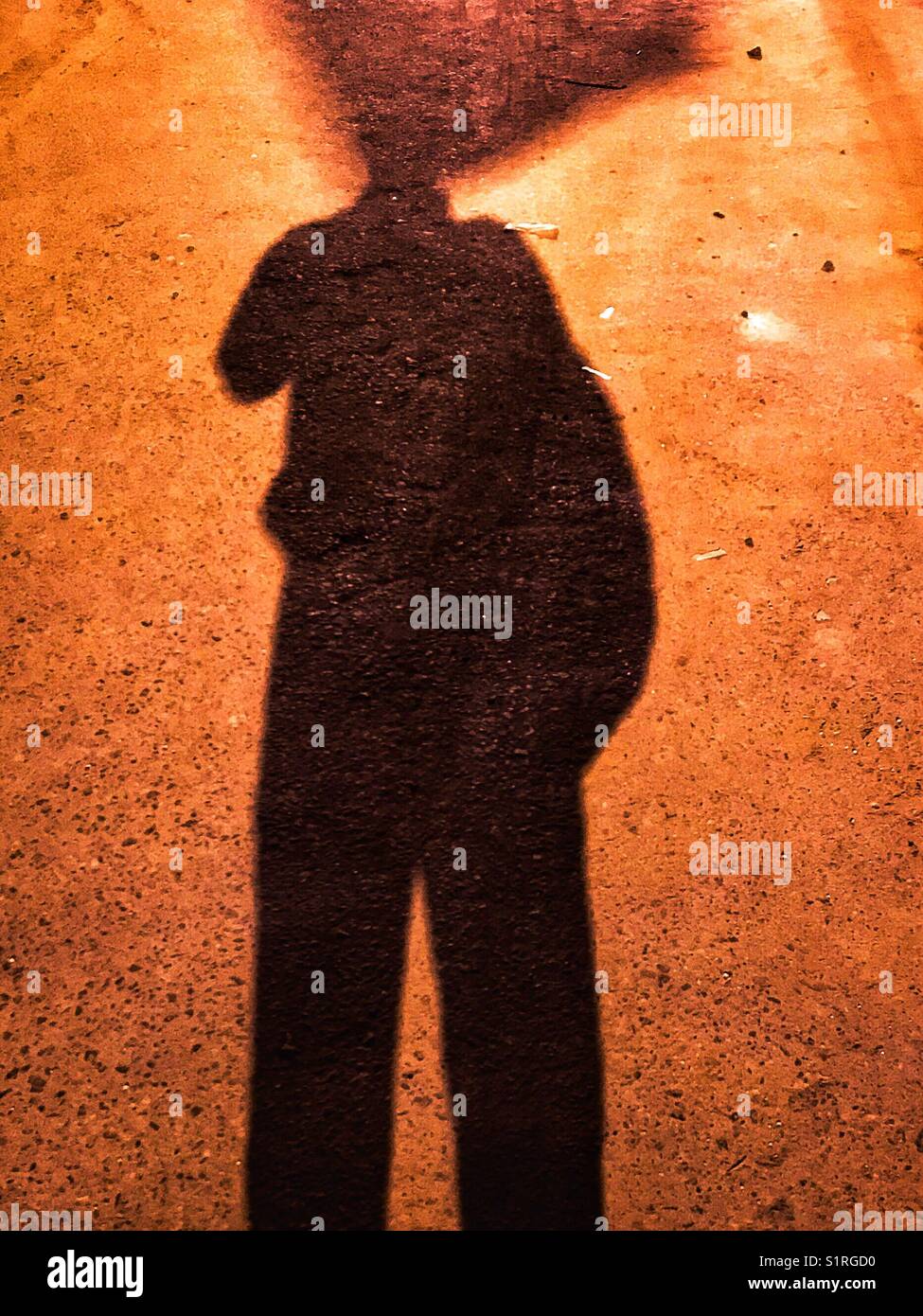 Human companion hi-res stock photography and images - Alamy