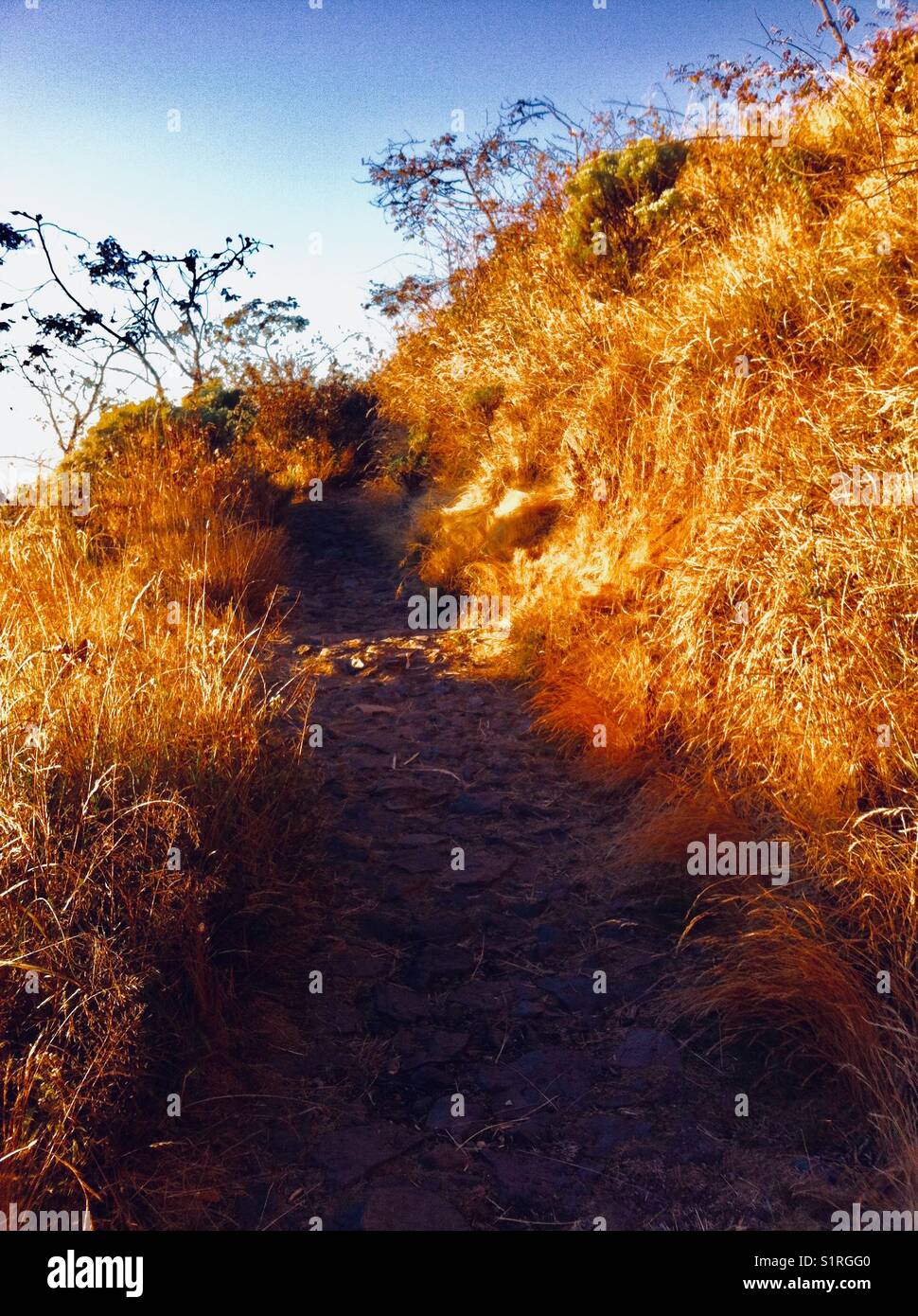 Mount lawu hi-res stock photography and images - Alamy