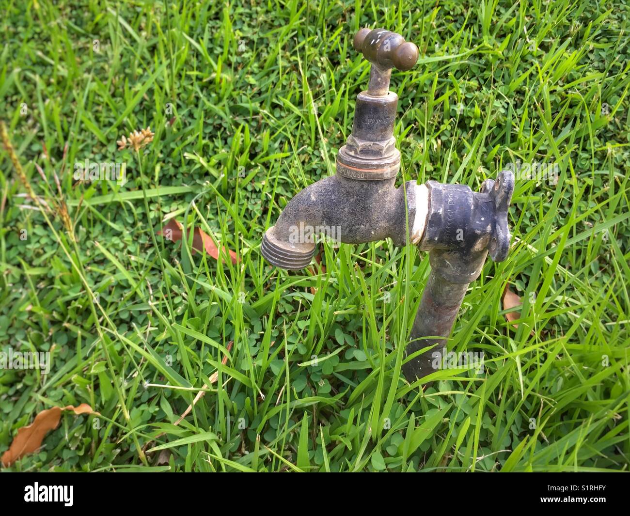Water tap on the lawn Stock Photo - Alamy
