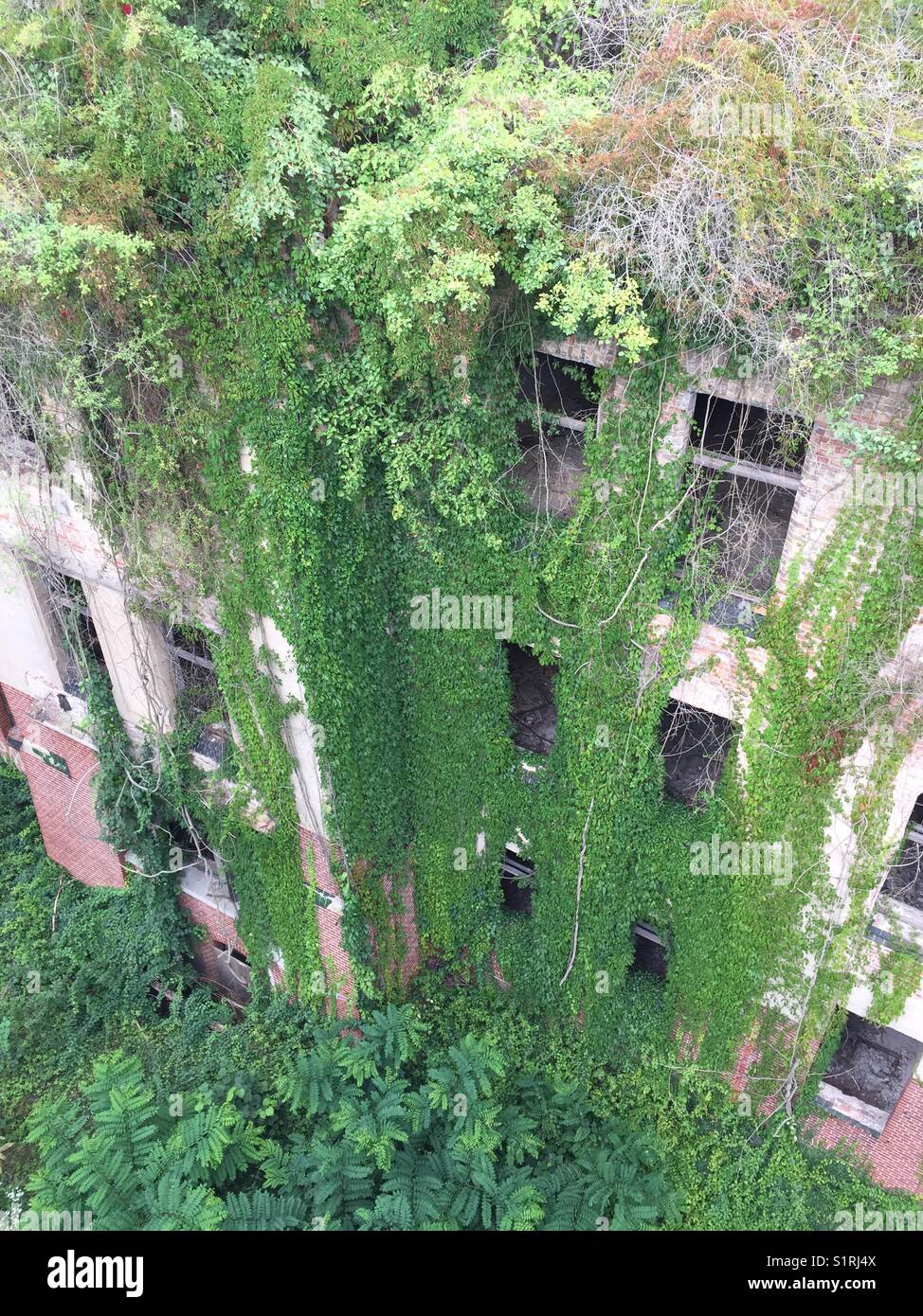 Overgrown and empty building hi-res stock photography and images - Alamy