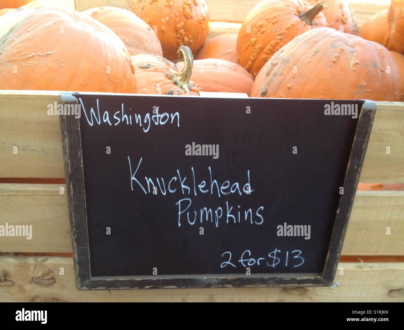 Knucklehead High Resolution Stock Photography and Images - Alamy