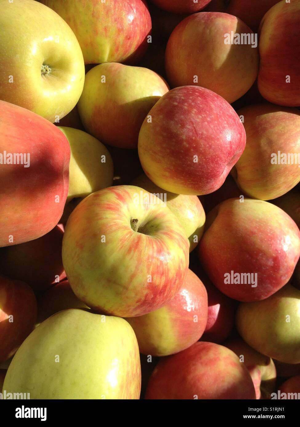 The fruit loop oregon hi-res stock photography and images - Alamy