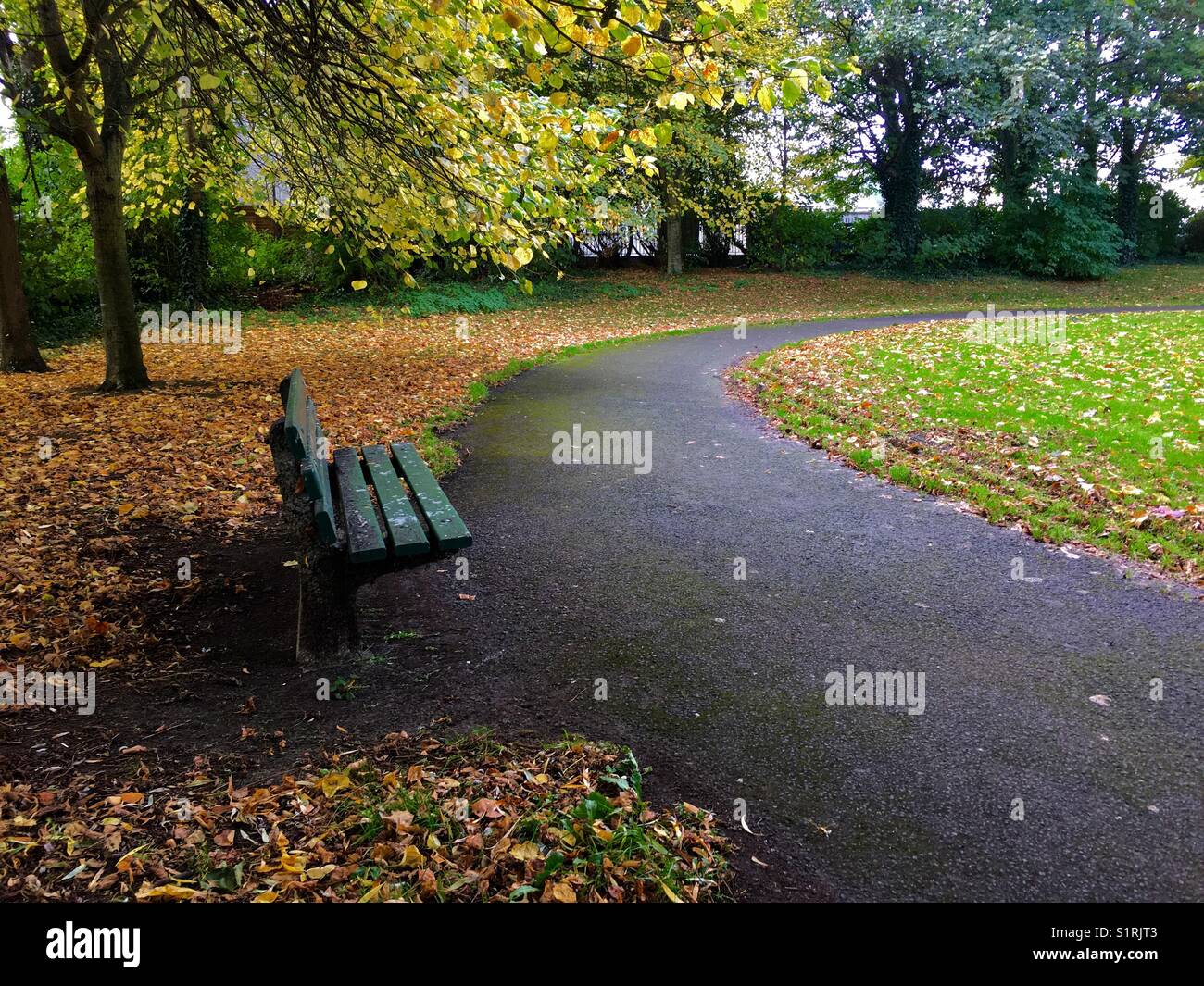 Bench in a park. Dublin - Ireland Stock Photo - Alamy