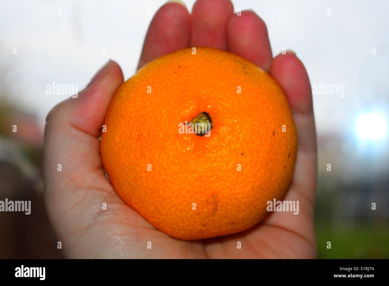 Unpeeled orange hi-res stock photography and images - Alamy