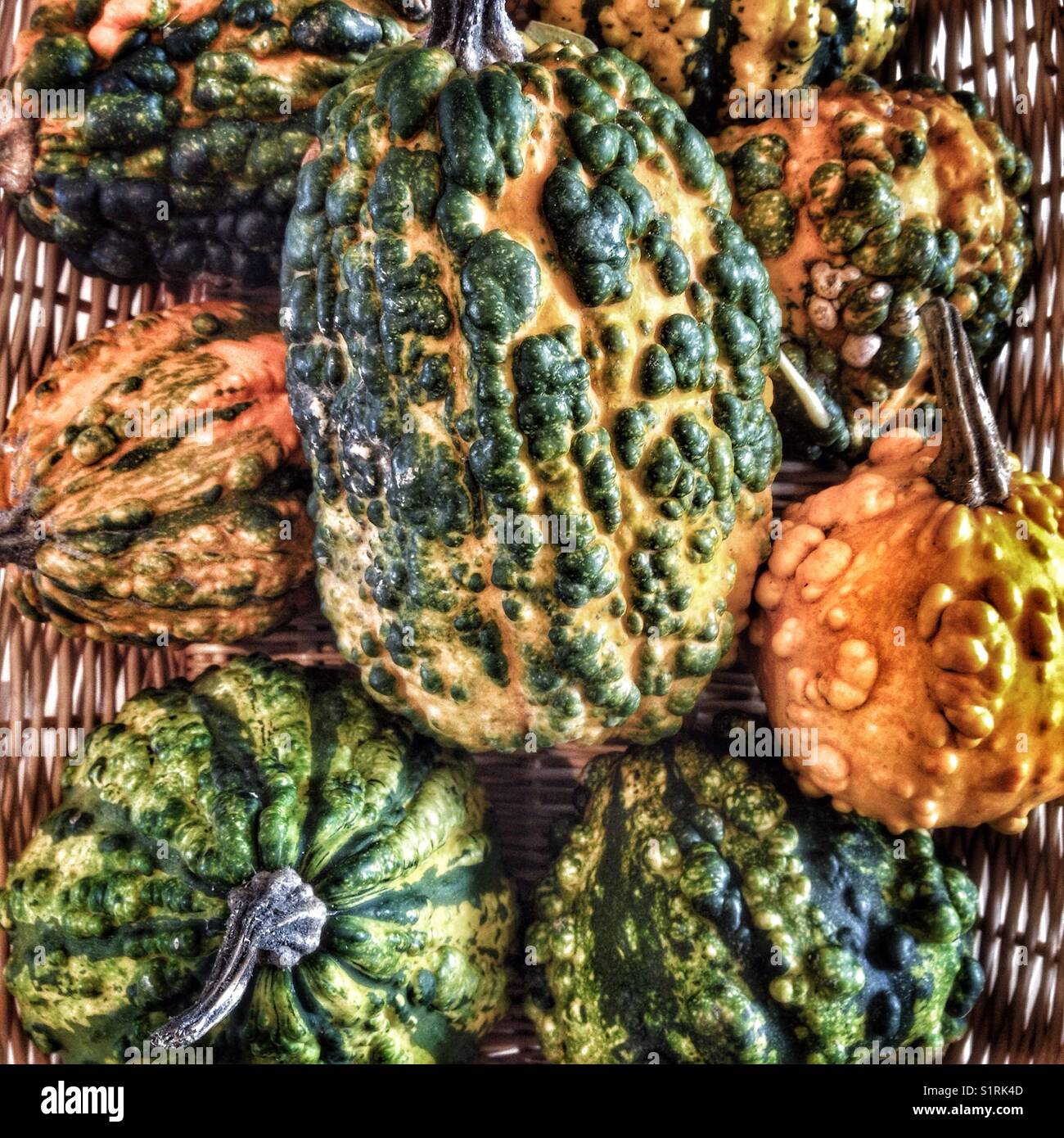 Selection gourds hi-res stock photography and images - Alamy