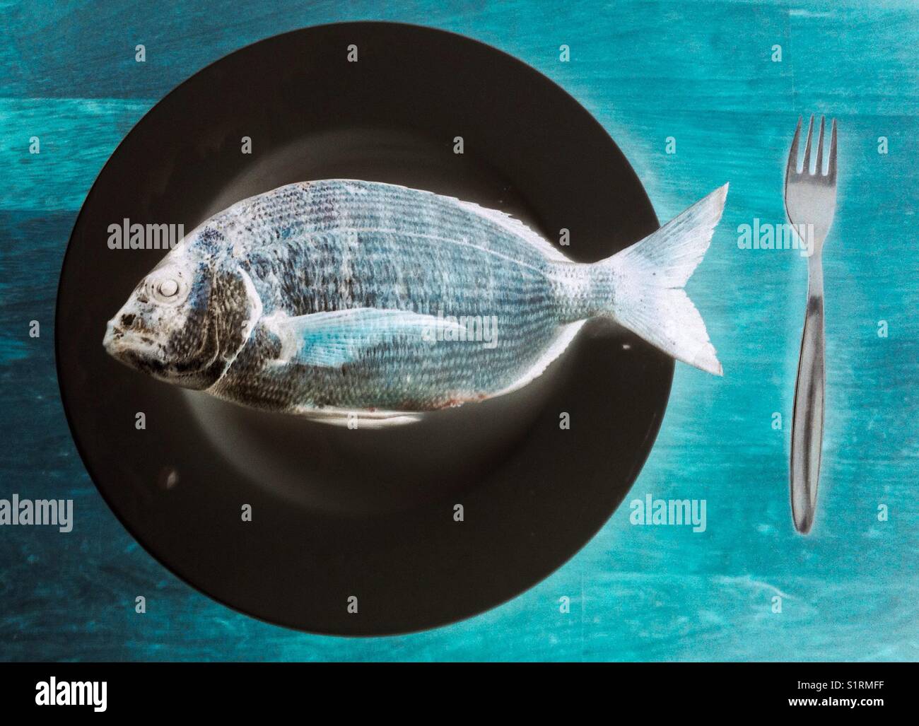 Fish on plate Stock Photo - Alamy