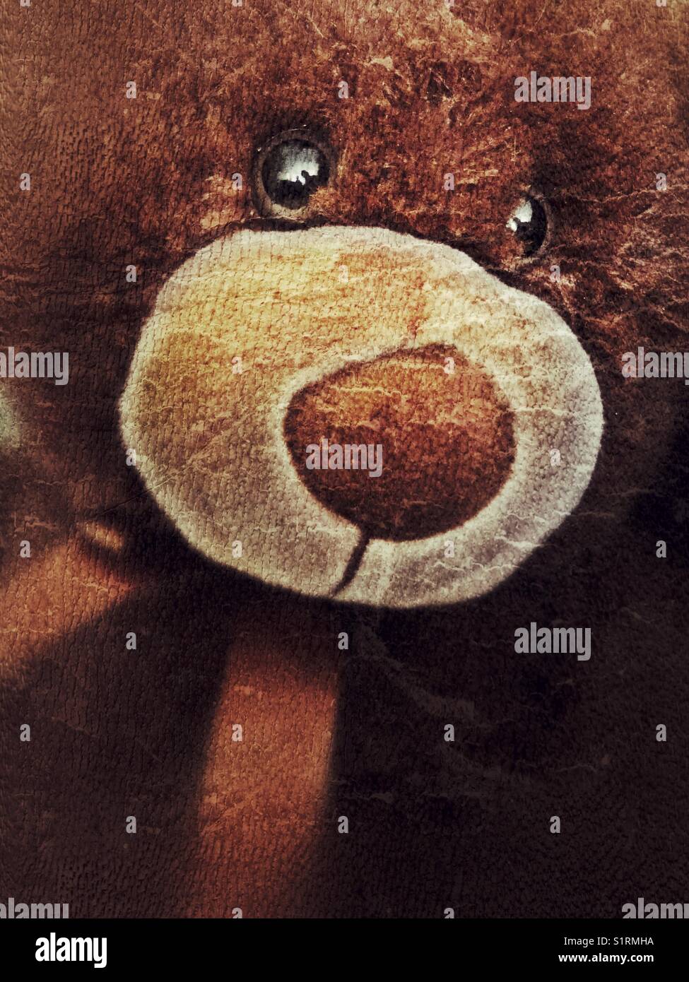 Brown teddy bear closeup Stock Photo - Alamy