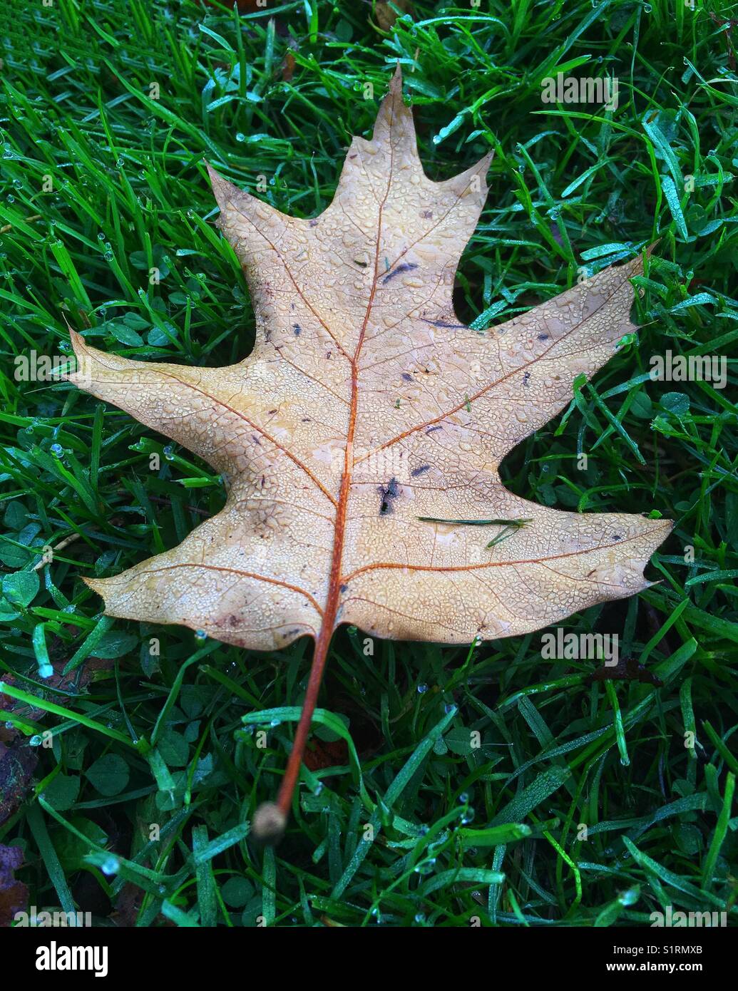 Who left me broken Stock Photo - Alamy