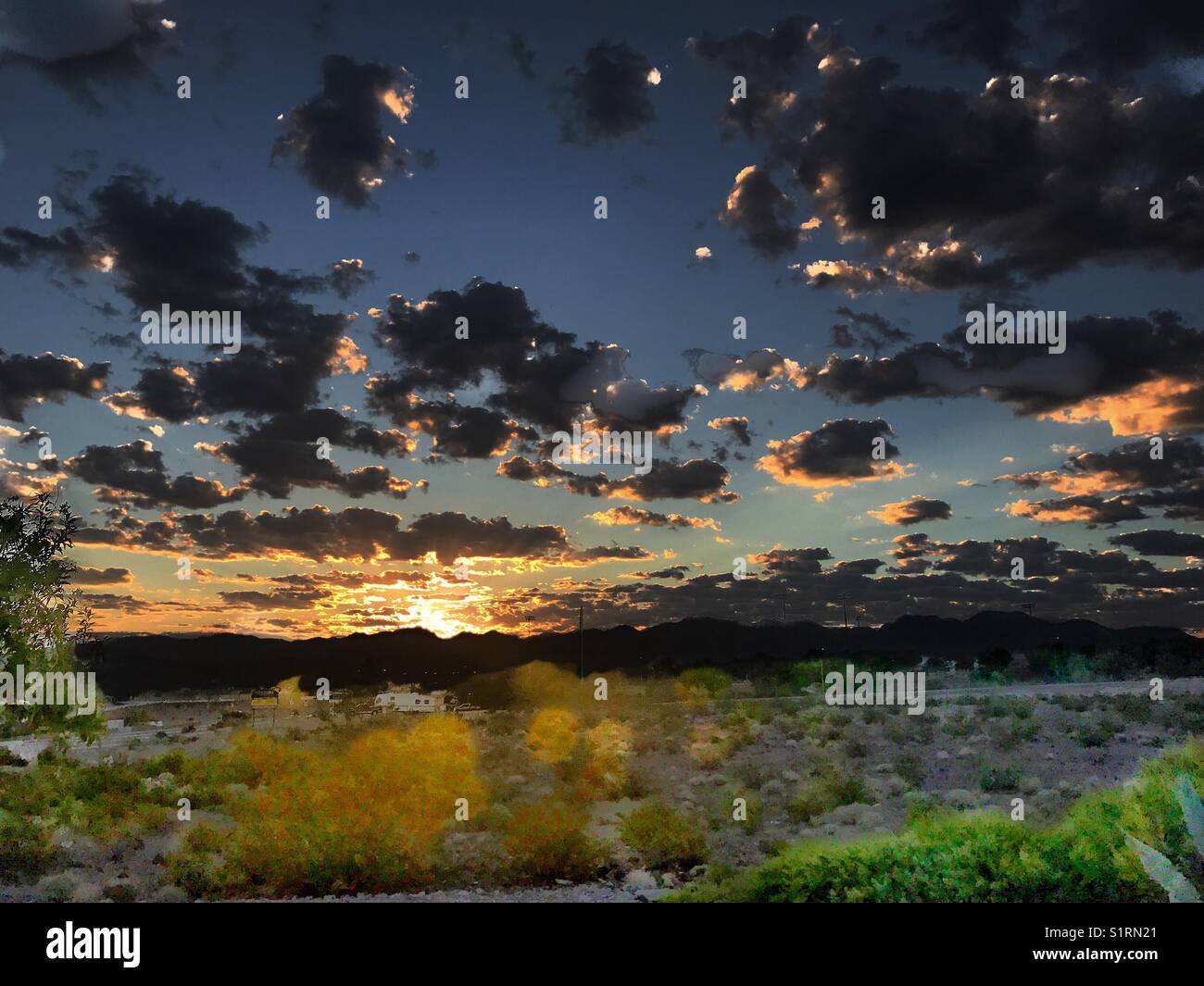 Desert blue sky bushes hi-res stock photography and images - Alamy