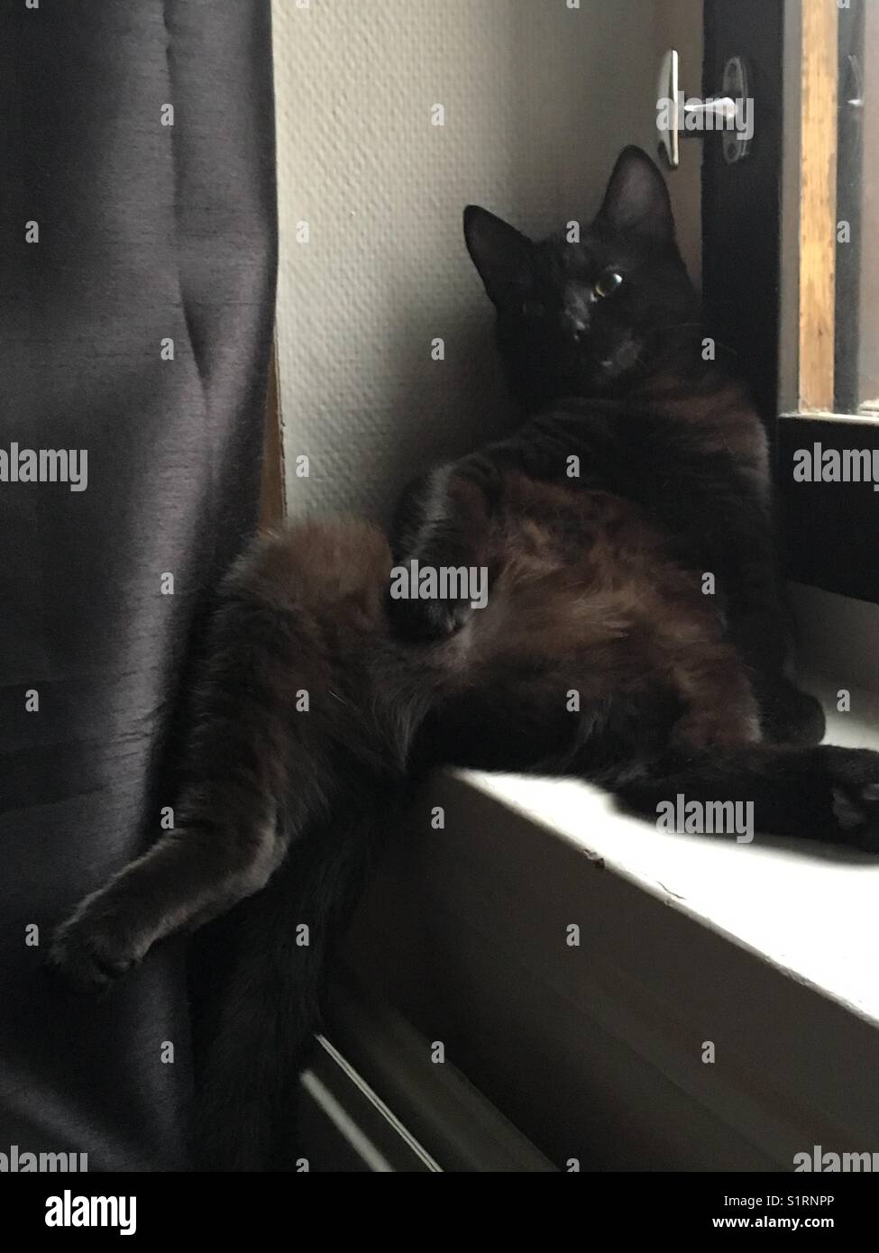 Chill cool hi-res stock photography and images - Alamy