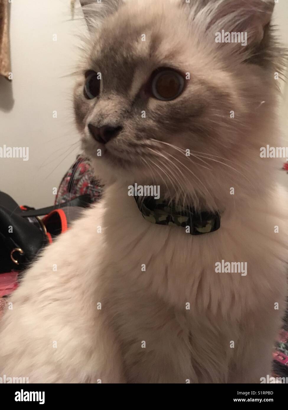 I see dead people hi-res stock photography and images - Alamy