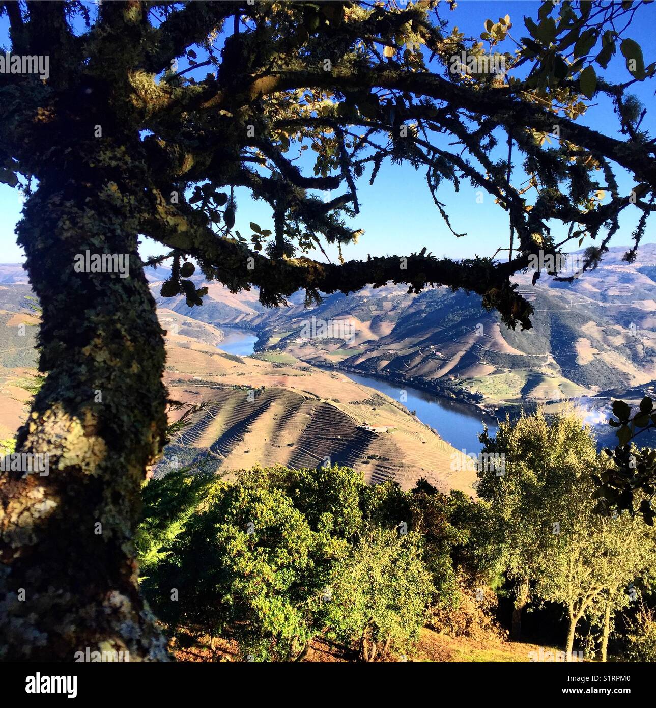 Inspiring view High Resolution Stock Photography and Images - Alamy