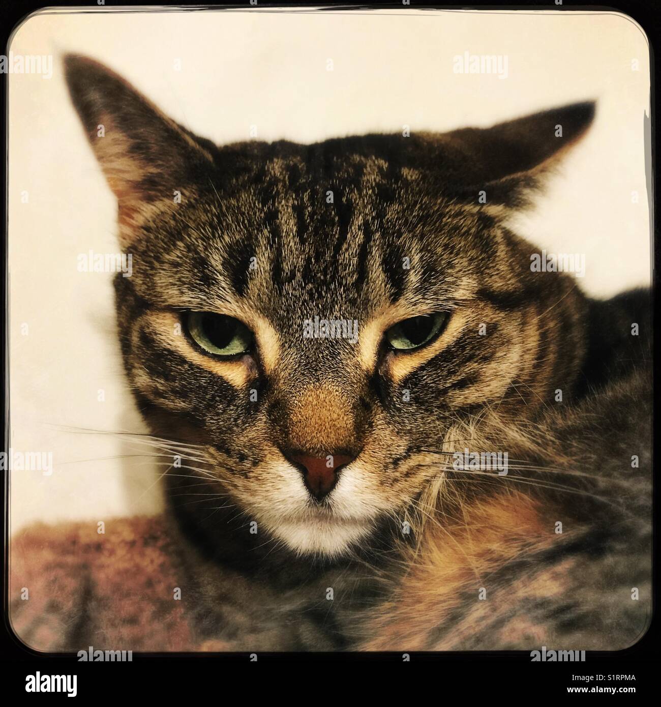 Monday face hi-res stock photography and images - Alamy