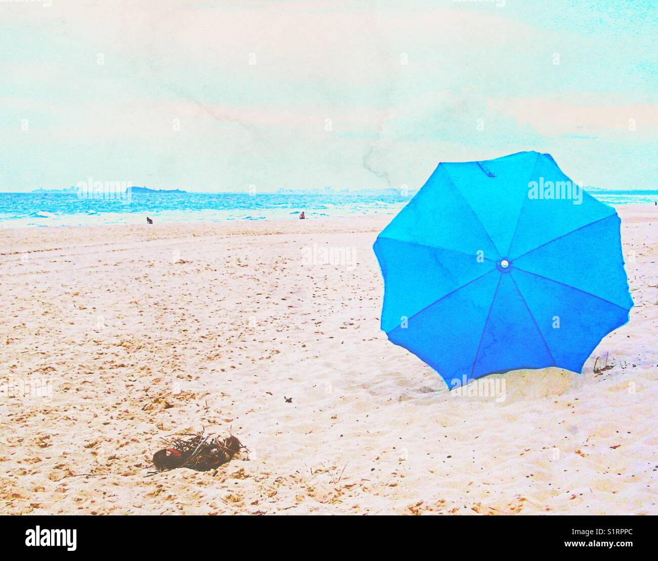 umbrella on a Sunshine Coast beach Stock Photo - Alamy