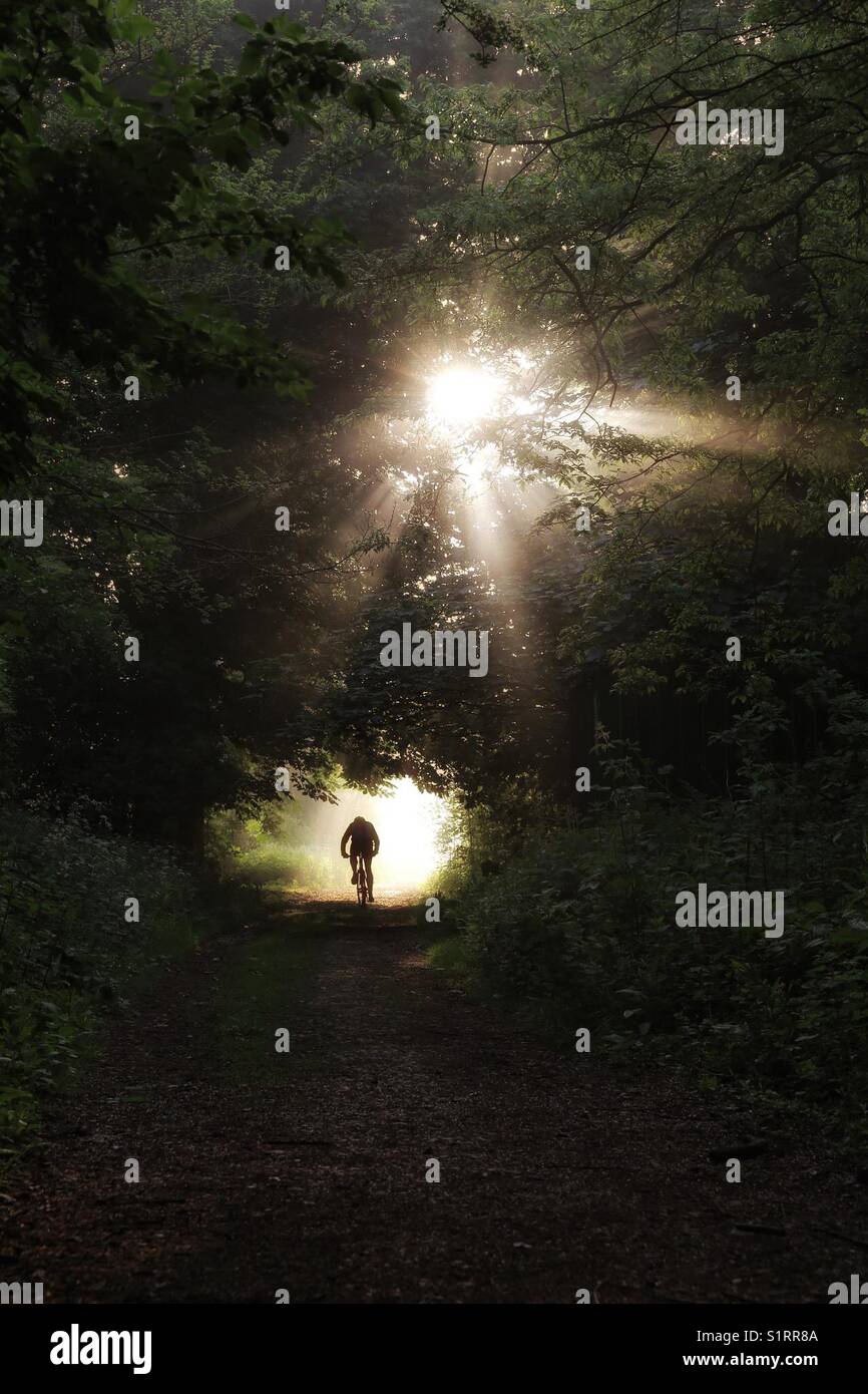 Morning cycle hi-res stock photography and images - Alamy