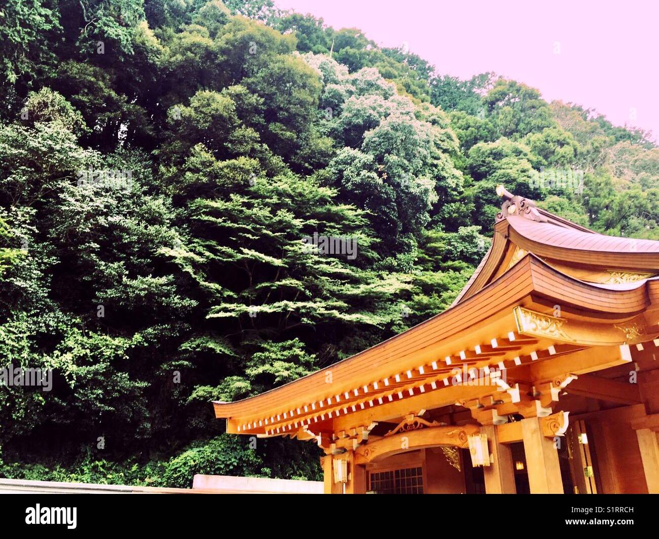 Temple and nature Stock Photo - Alamy