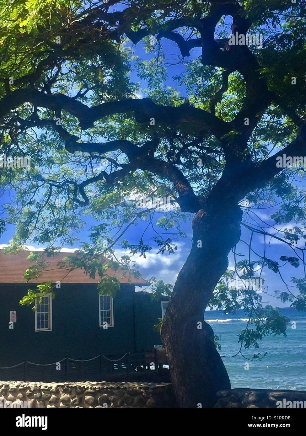 Maui building hi-res stock photography and images - Alamy