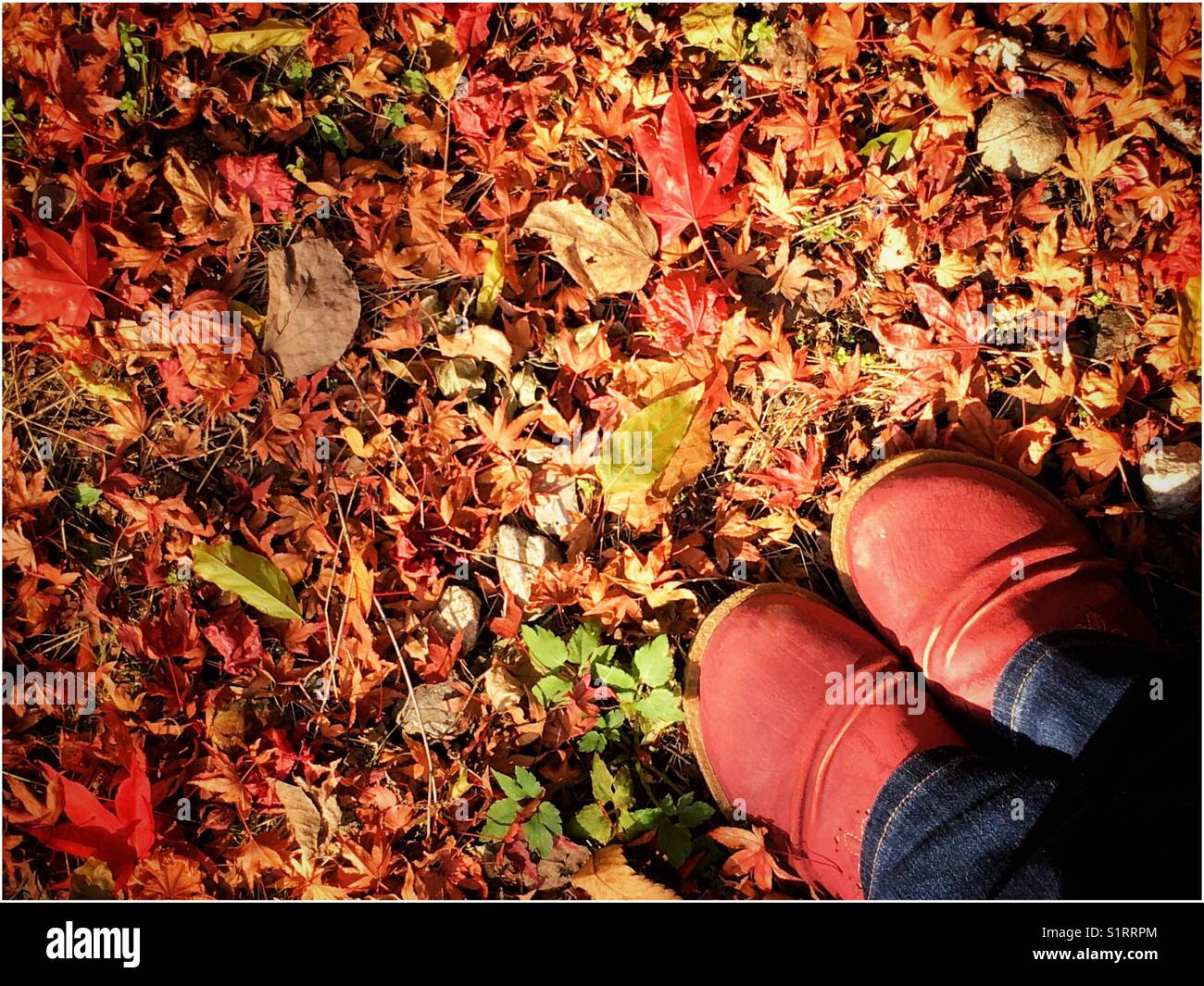 Look at feet hi-res stock photography and images - Alamy