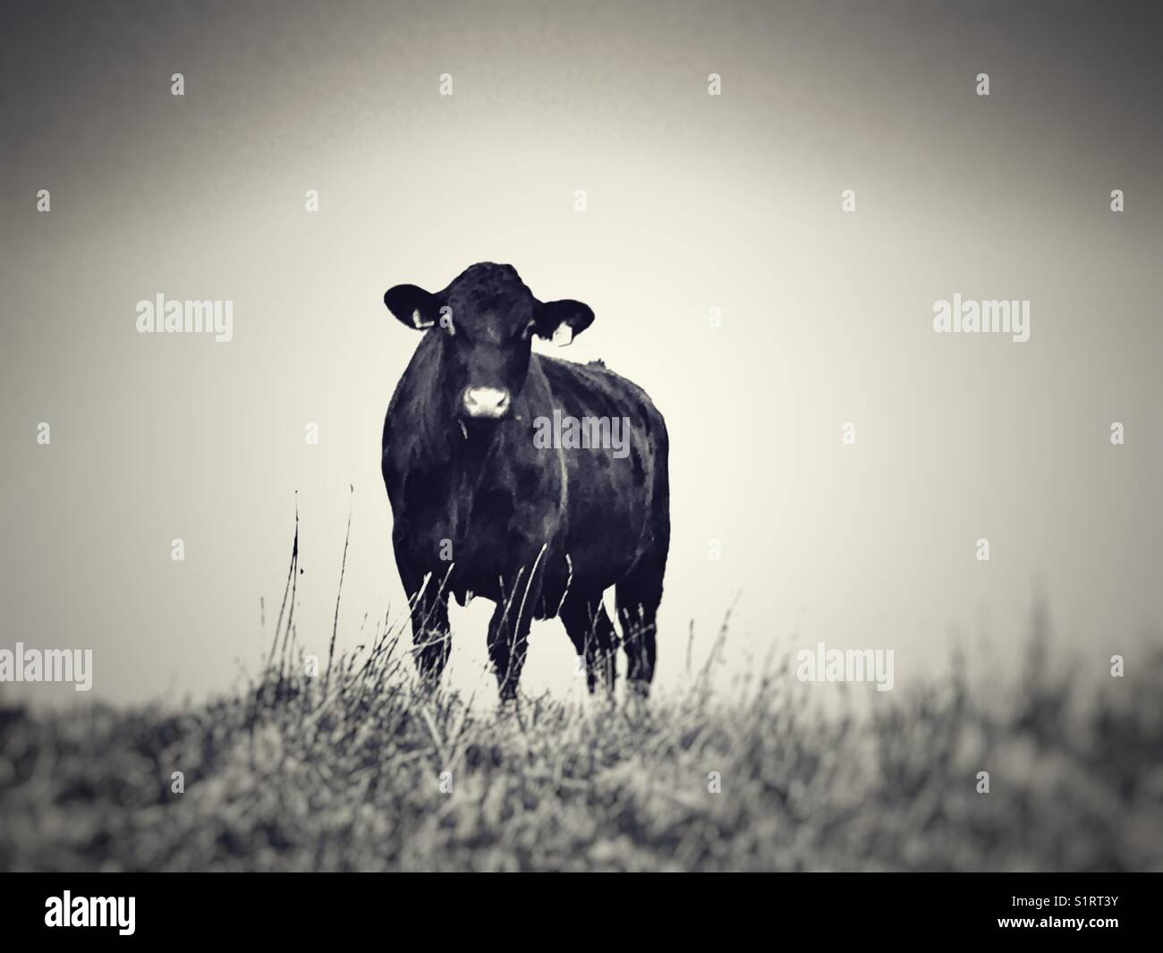 Environmental poll hi-res stock photography and images - Alamy