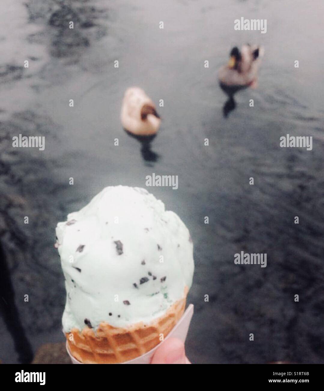 Ice cream duck hi-res stock photography and images - Alamy