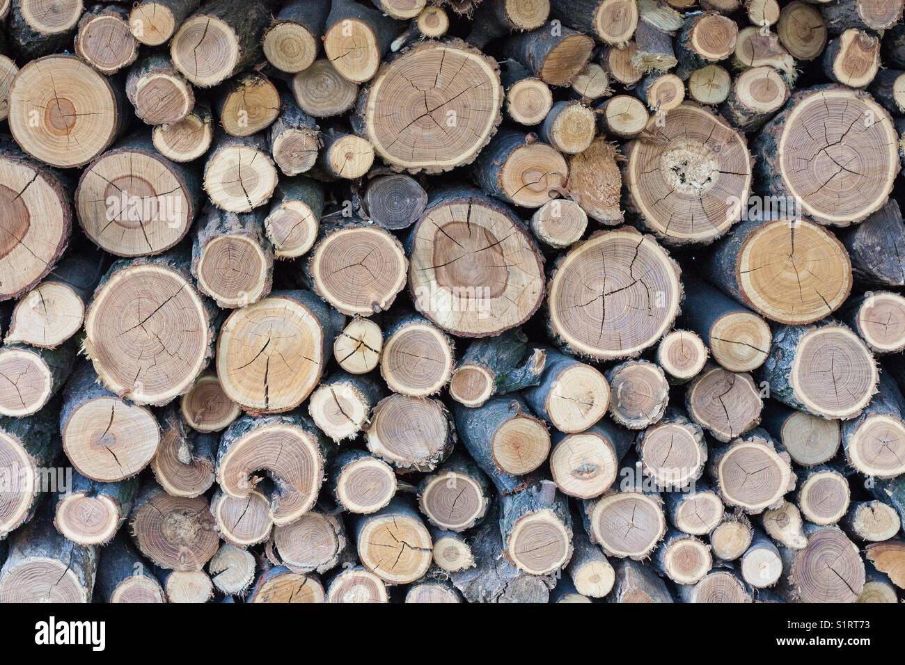 Wood stocks hi-res stock photography and images - Alamy