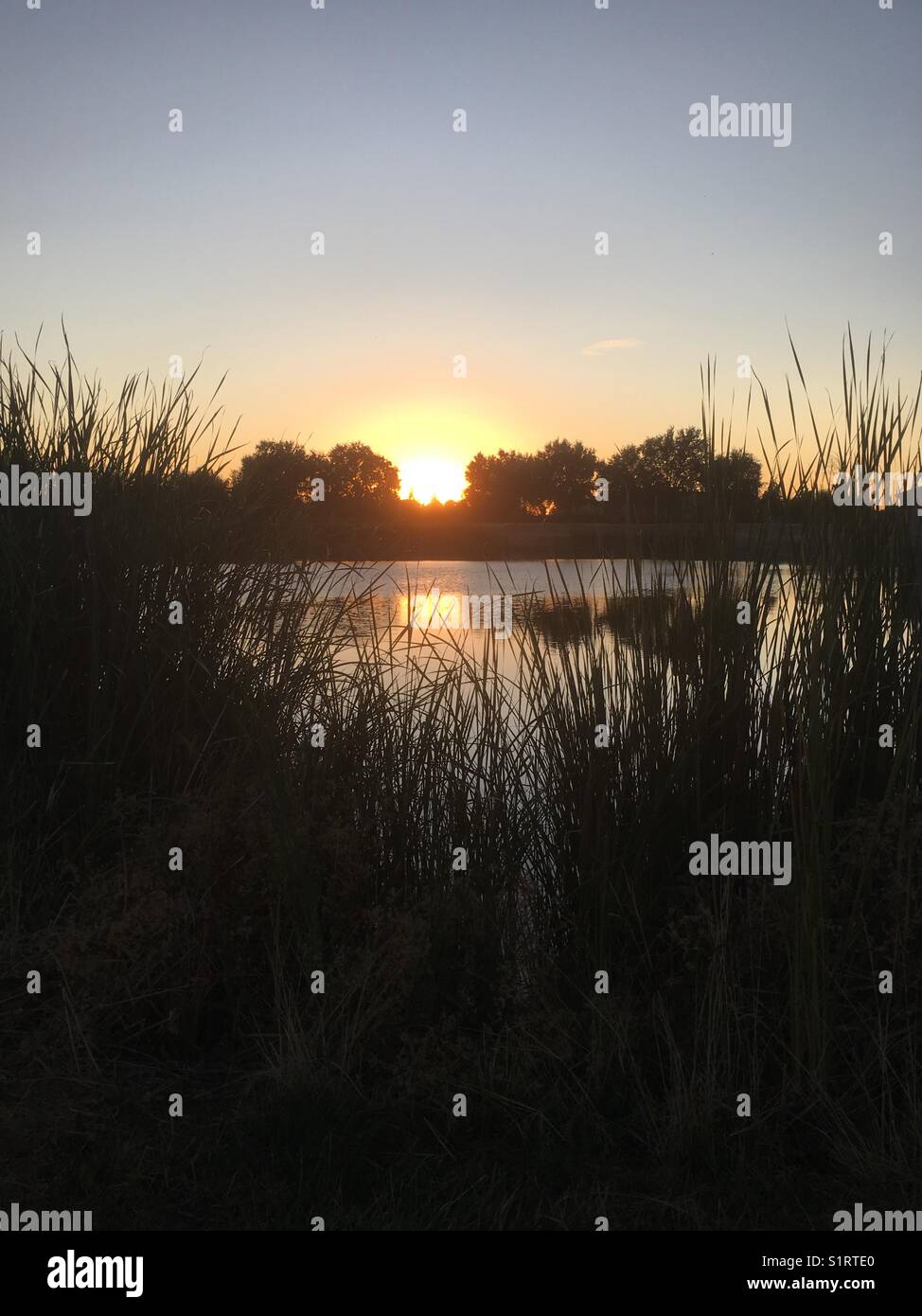 Sunset over pond Stock Photo - Alamy