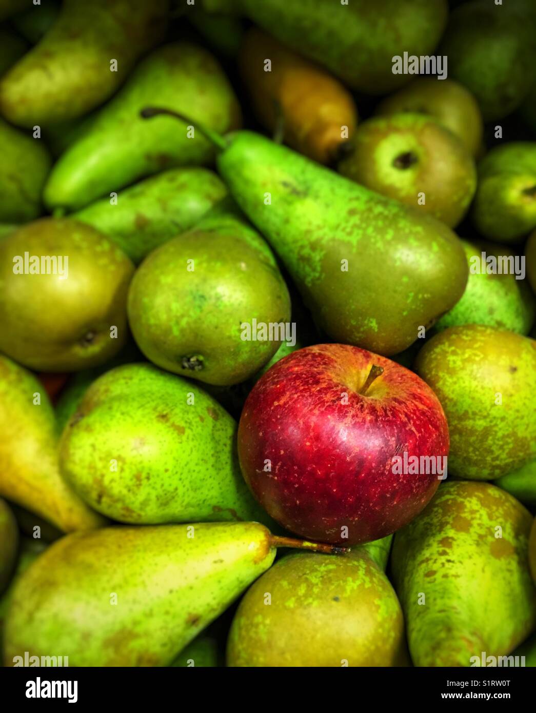 Apples and pears Stock Photo - Alamy
