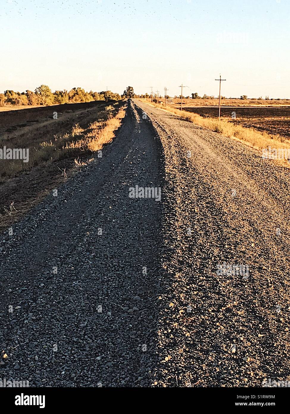 Gravel path near Yolo Bypass Stock Photo - Alamy