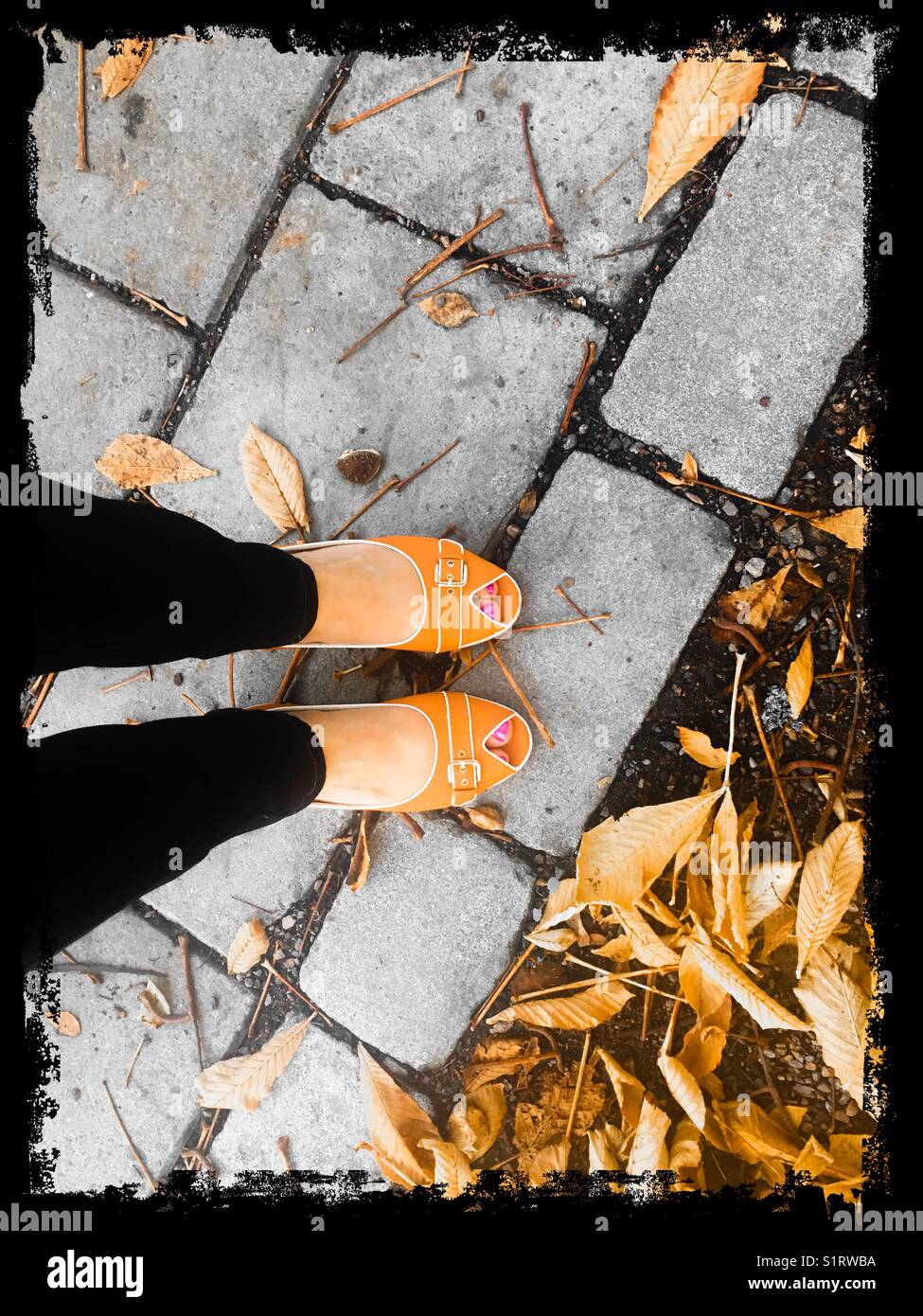 Fall oslo hi-res stock photography and images - Alamy