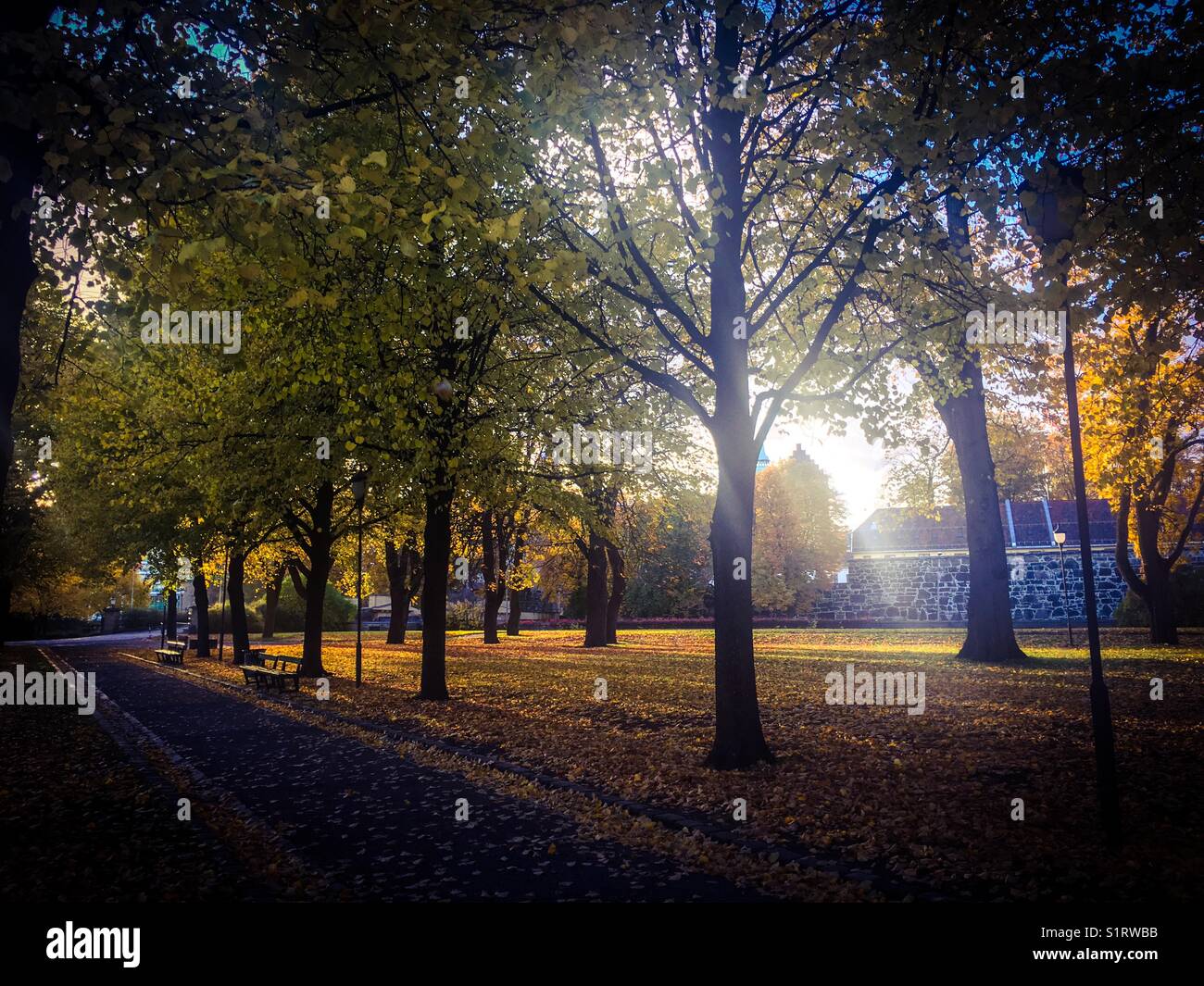 Fall in Oslo Stock Photo - Alamy