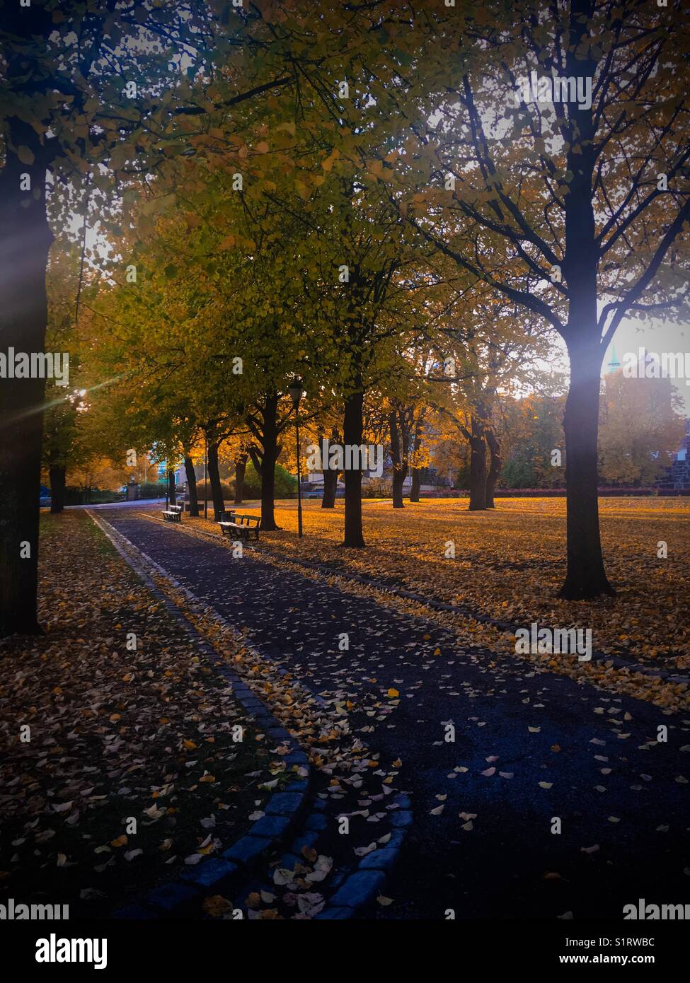 Fall street hi-res stock photography and images - Alamy