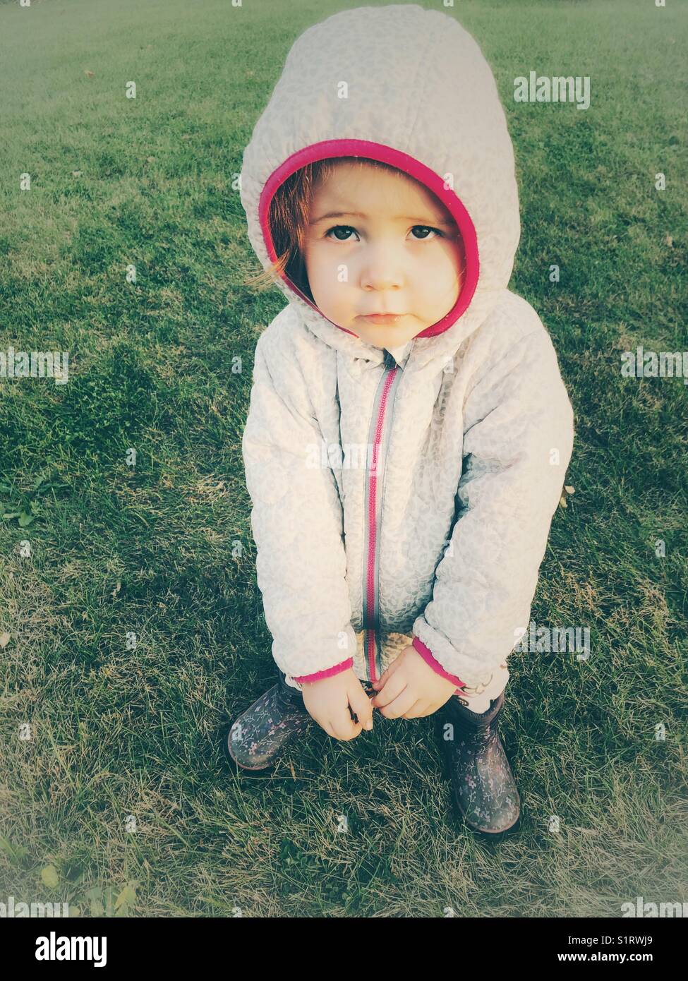 Pleading expression hi-res stock photography and images - Alamy