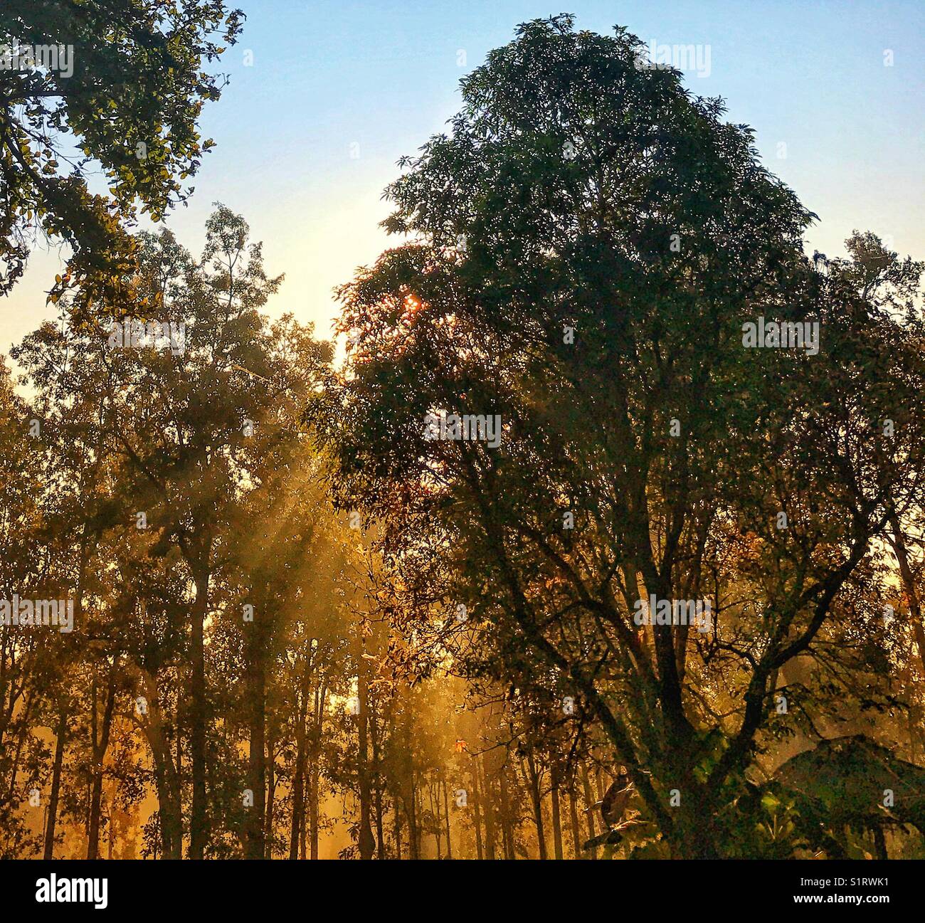 Golden sun rays hi-res stock photography and images - Alamy