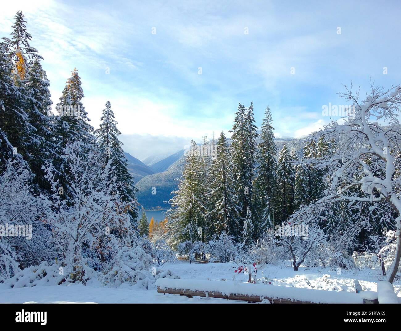 Pretty view looking down toward the water, and past into the snow ...