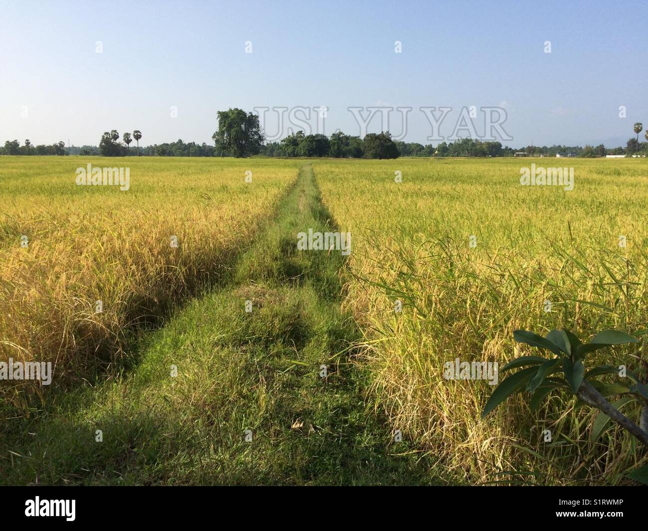 Thar yer kone village photograph by yu yar hi-res stock photography and ...