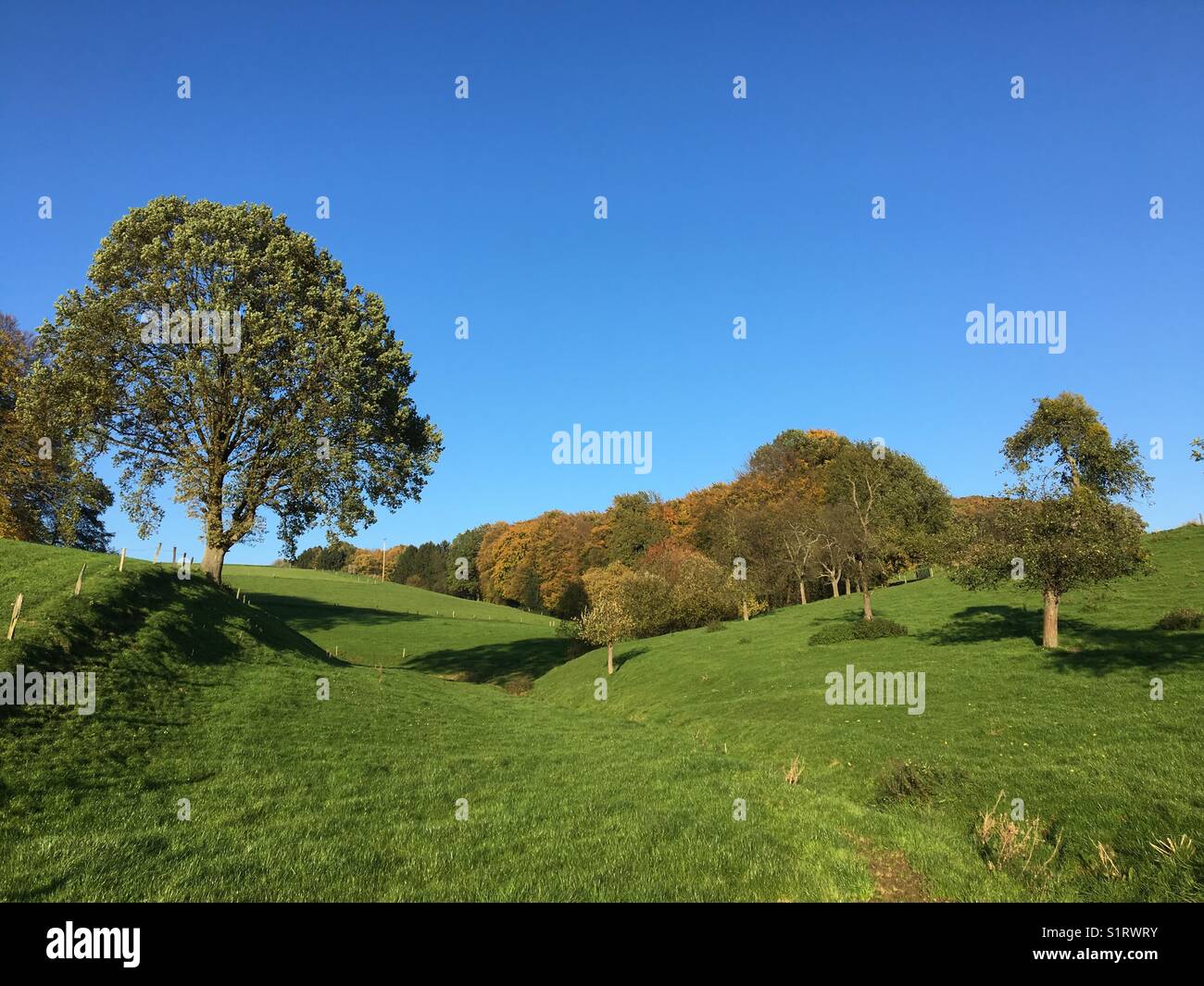 Rural landscape in autumn hi-res stock photography and images - Alamy