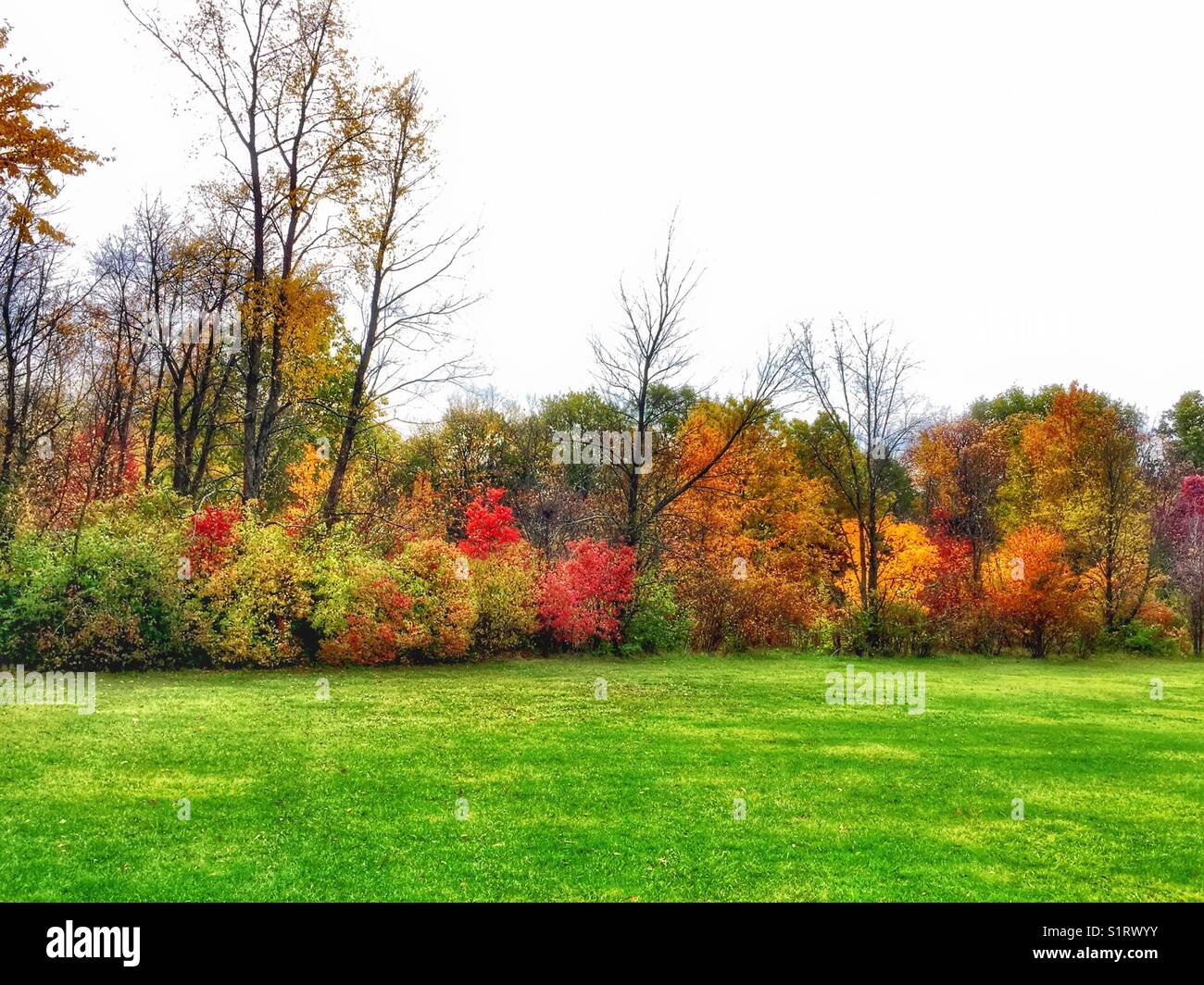 Colorful treeline hi-res stock photography and images - Alamy