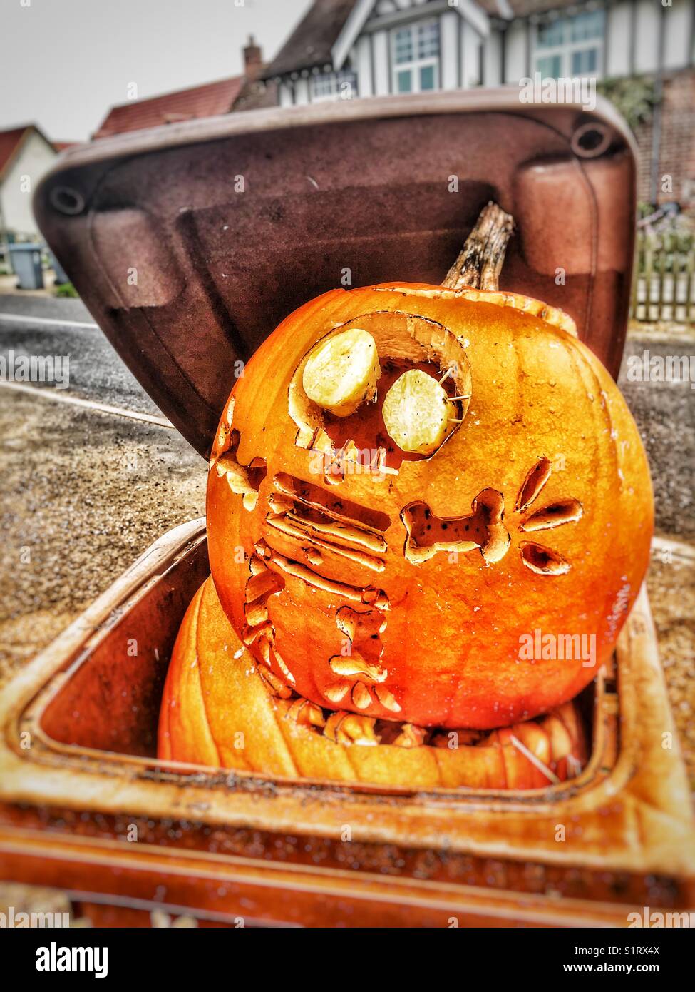 Bin of pumpkins hi-res stock photography and images - Alamy