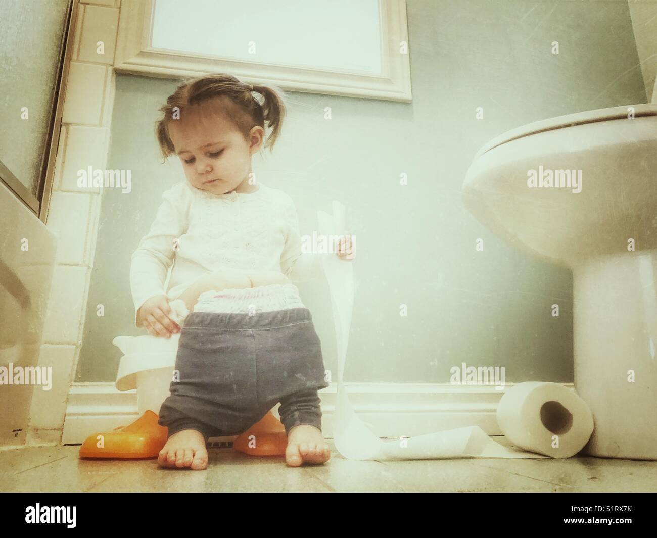 Toddler girl sitting on potty during toilet training Stock Photo - Alamy