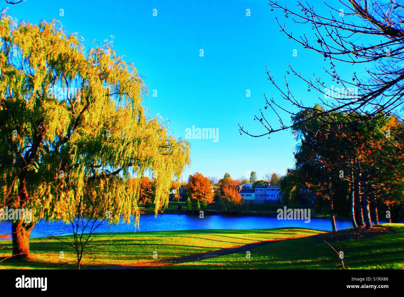 Nice fall afternoon day Stock Photo - Alamy