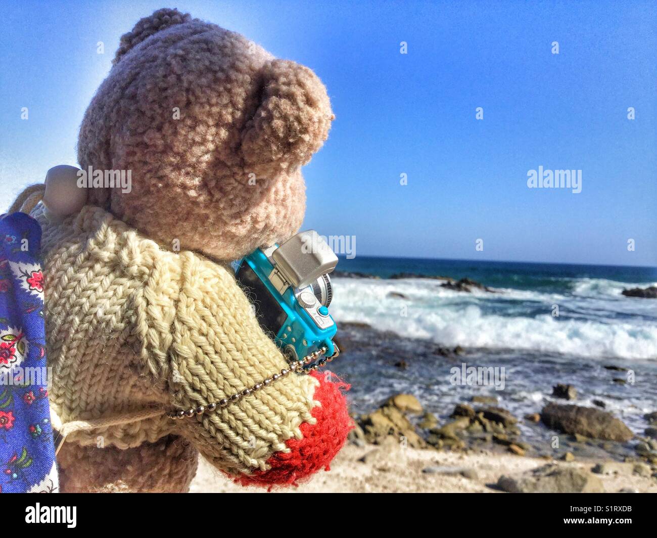 A stuffed teddy bear at the sea taking photos Stock Photo - Alamy